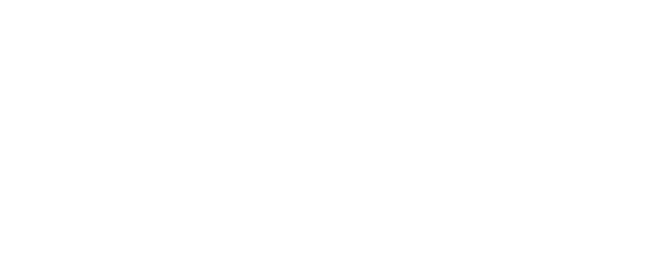 Home [www.wolfcustoms.co.za]